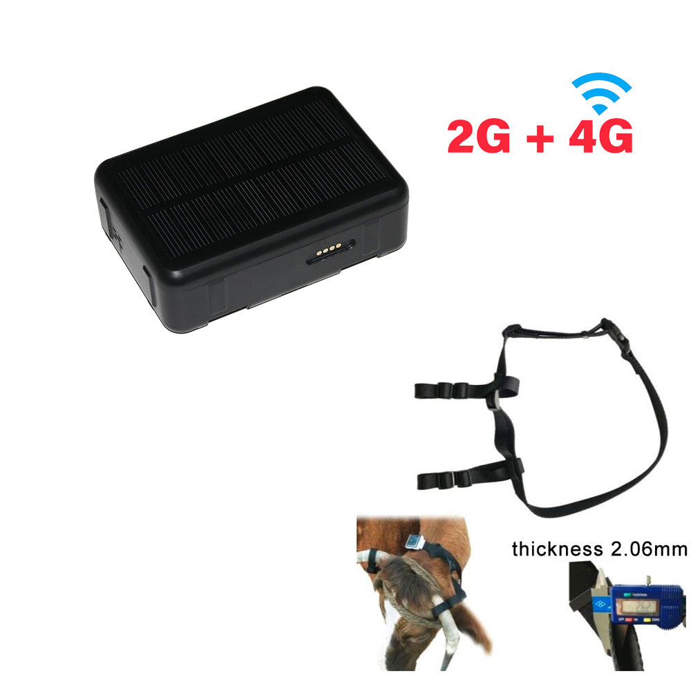 4G Solar GPS Tracker For Cow Sheep and Horse Tracking – ChinaGPSTracker.com